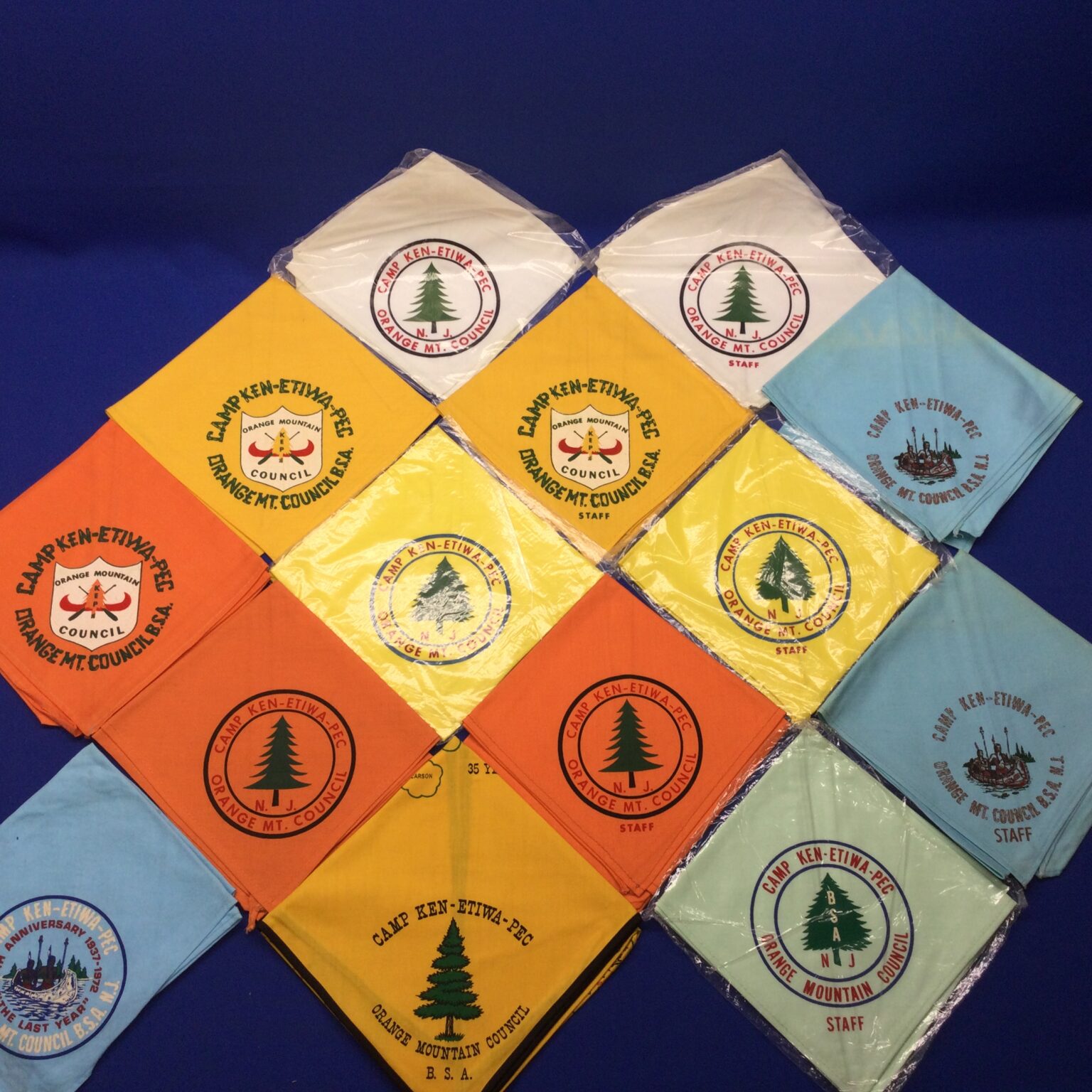 Auction Preview July 2024 - Boy Scout Collector
